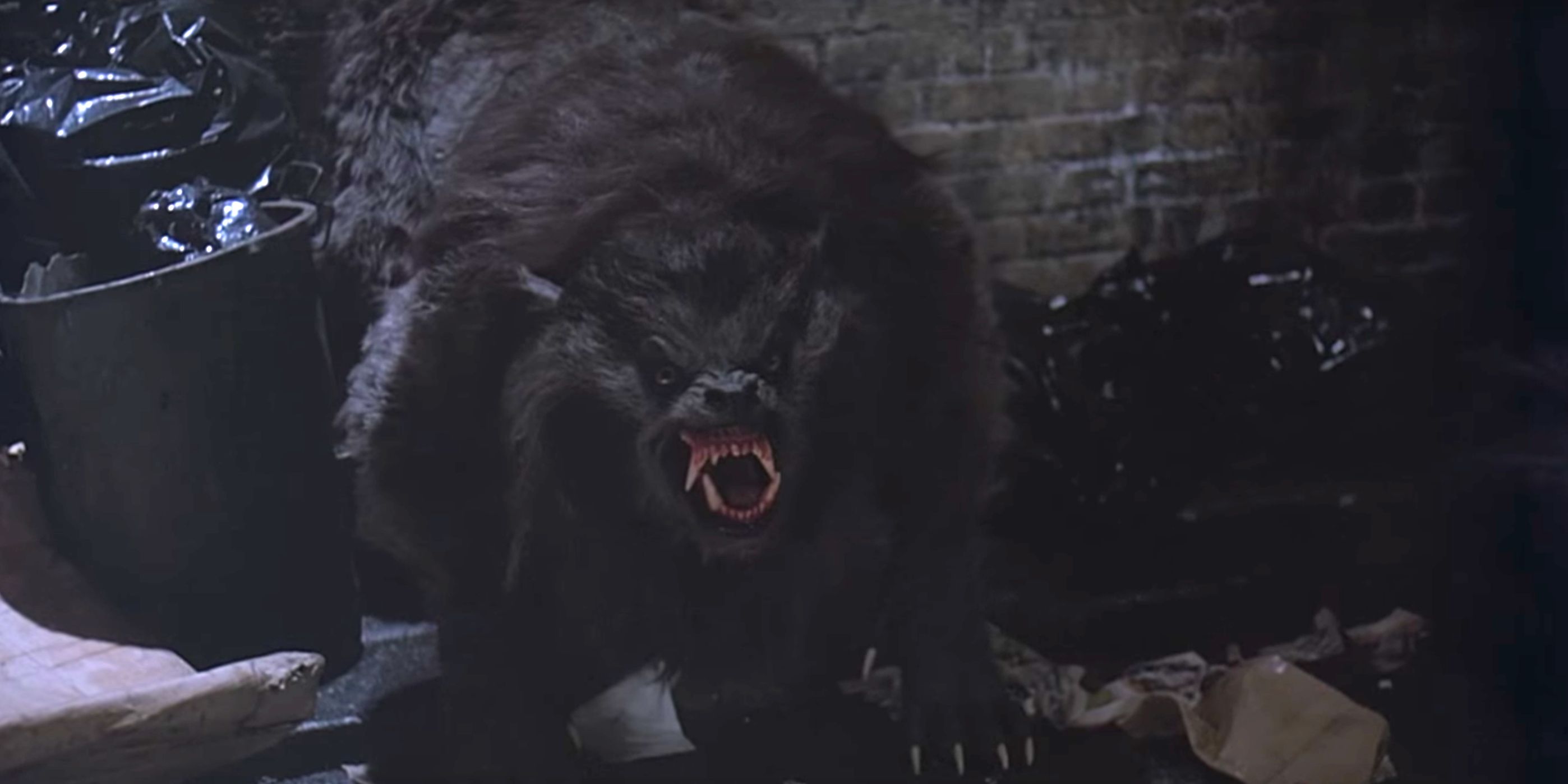 An American Werewolf in London (1981) Review – The Cinema Critic