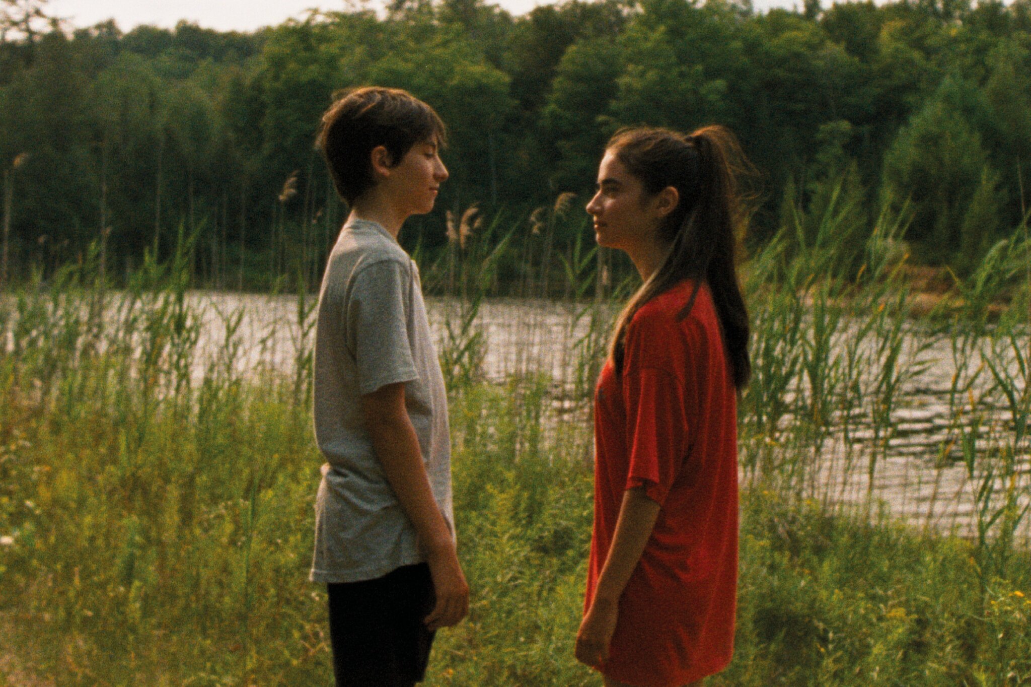 Ikiru (1952) Review – The Cinema Critic